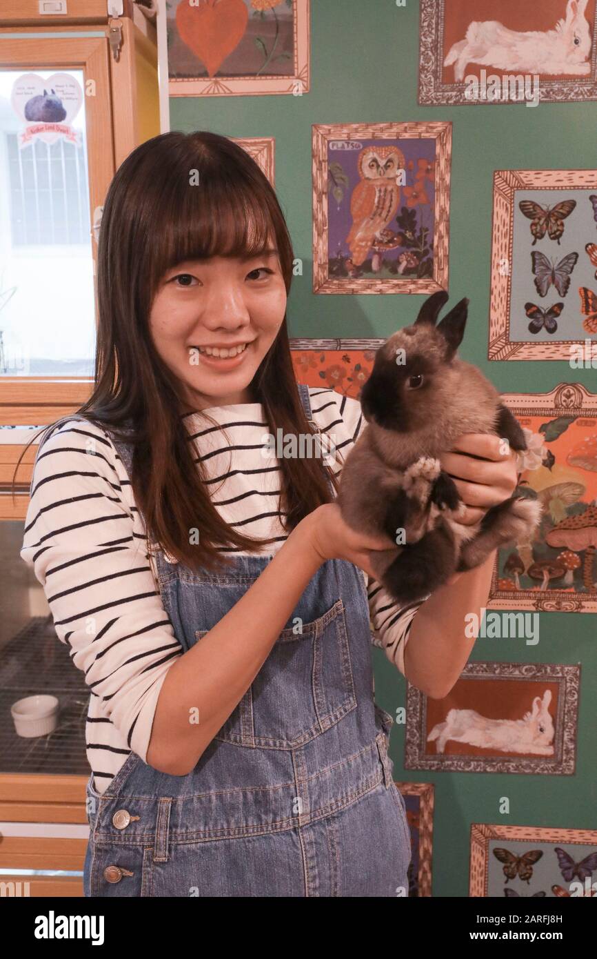 Rabbit cafe tokyo hi-res stock photography and images - Alamy