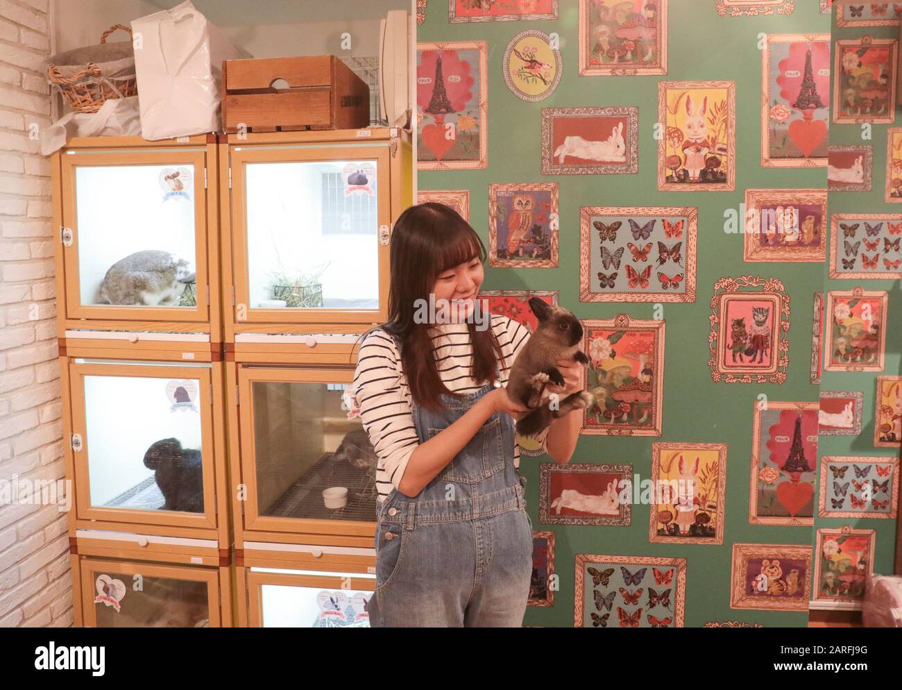 Rabbit cafe tokyo hi-res stock photography and images - Alamy
