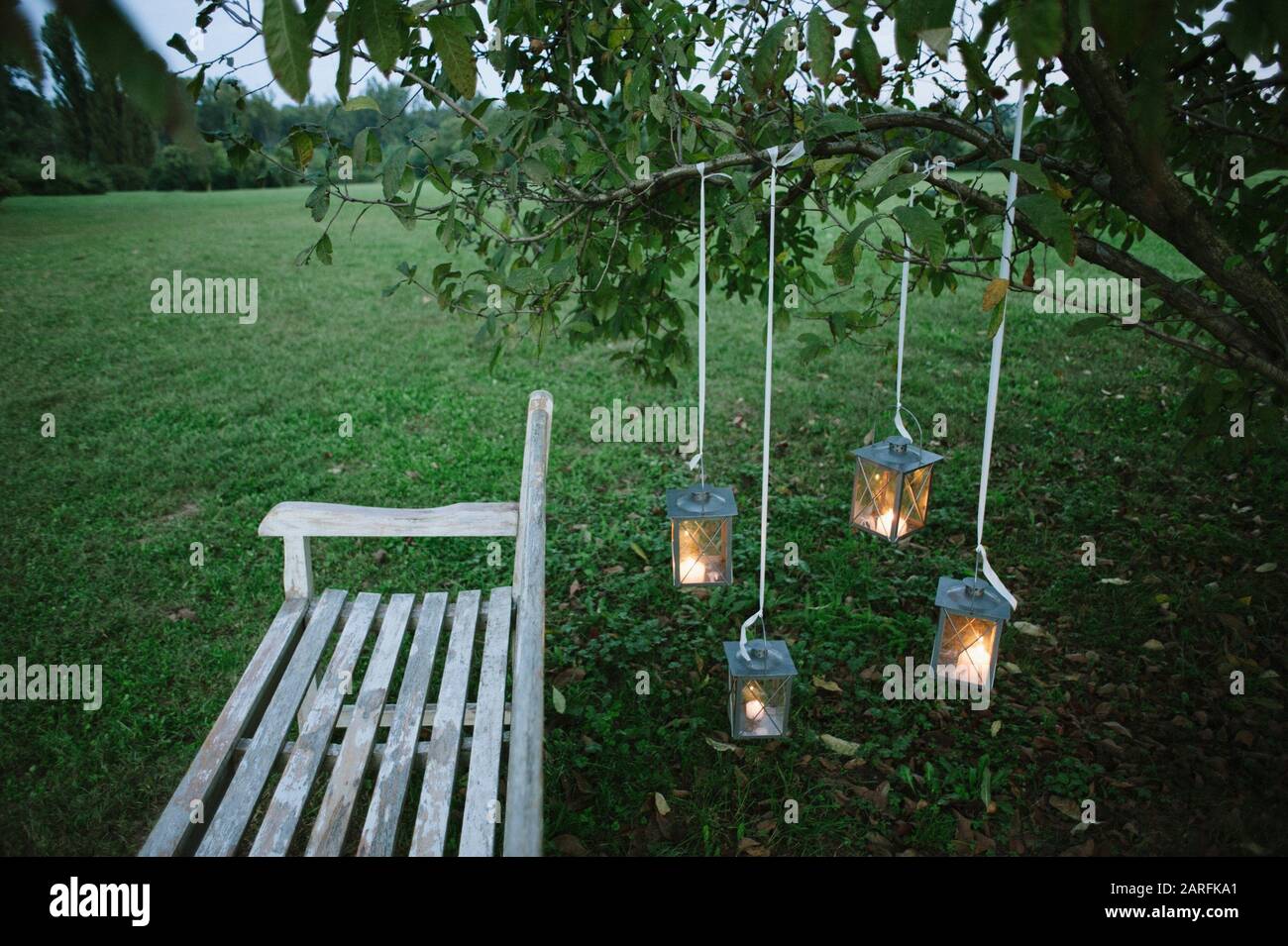 Lanterns hanging tree branch hi-res stock photography and images - Alamy