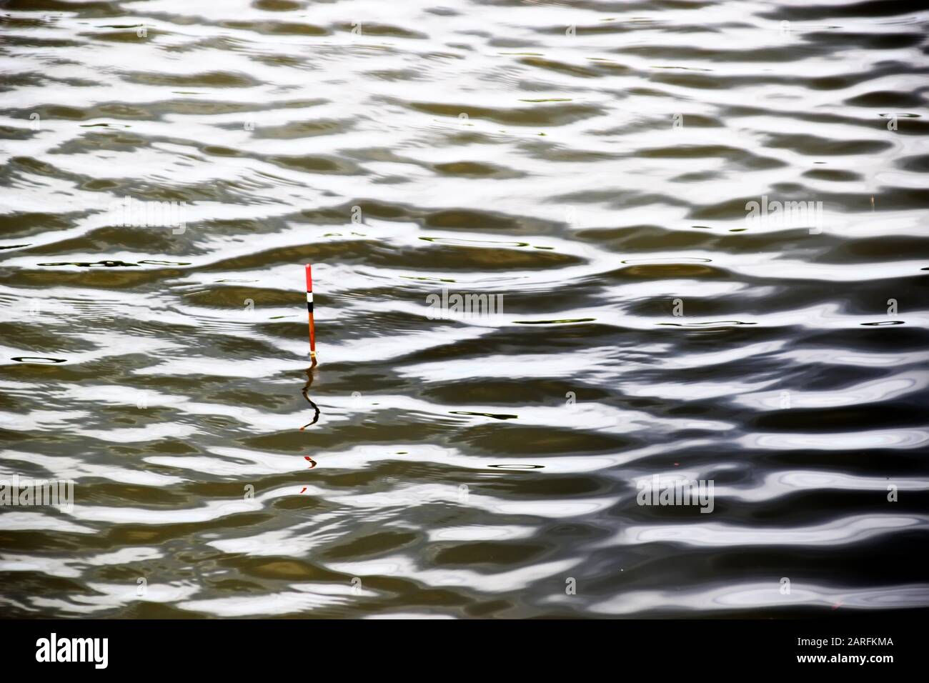 Float on the surface of water hi-res stock photography and images - Alamy