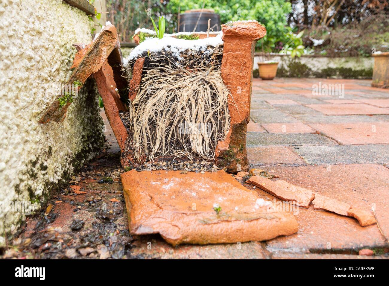 Broken pot plant hi-res stock photography and images - Alamy