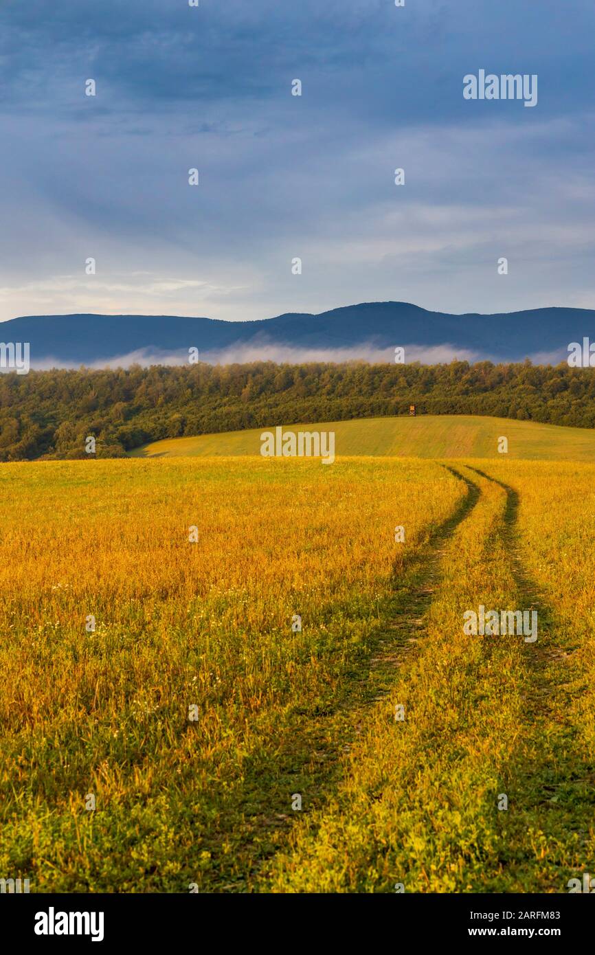 Vihorlat hi-res stock photography and images - Alamy