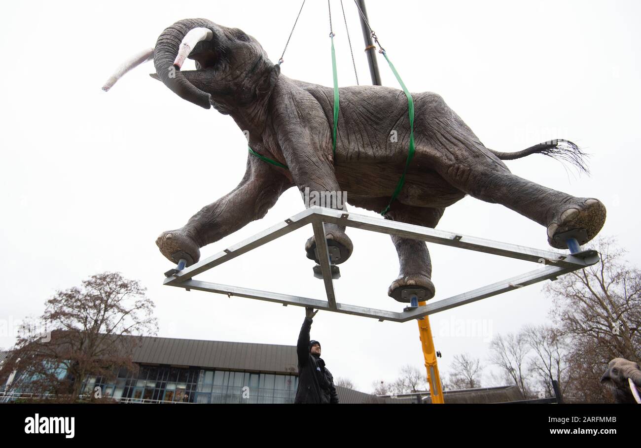 Stuttgart, Germany. 28th Jan, 2020. A model of a primeval elephant ...