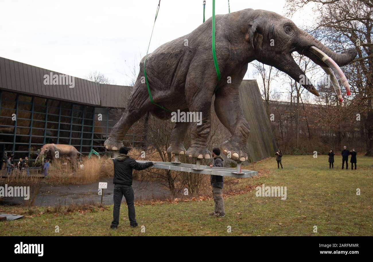Stuttgart, Germany. 28th Jan, 2020. A model of a primeval elephant ...