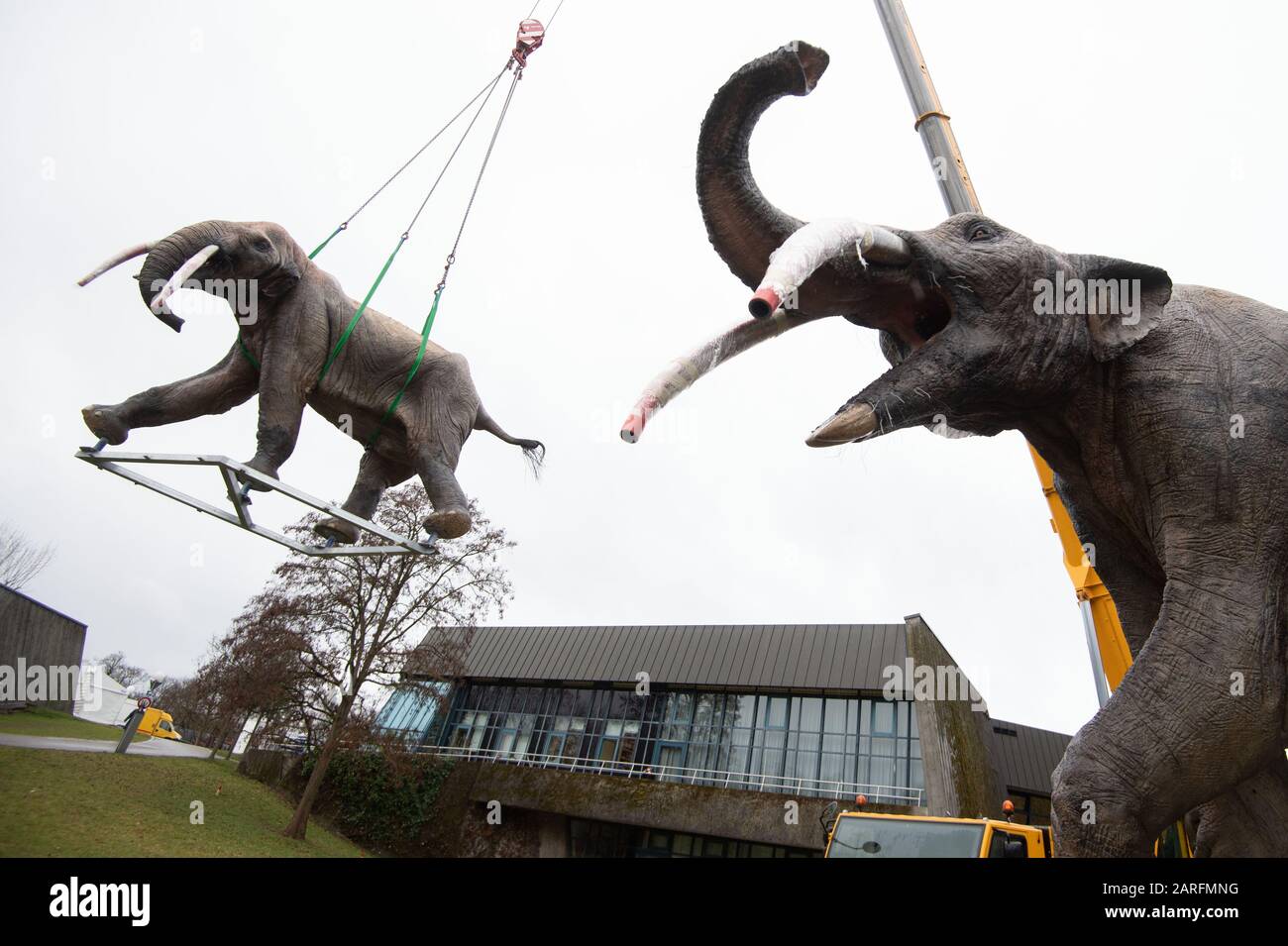 Stuttgart, Germany. 28th Jan, 2020. A model of a primeval elephant ...