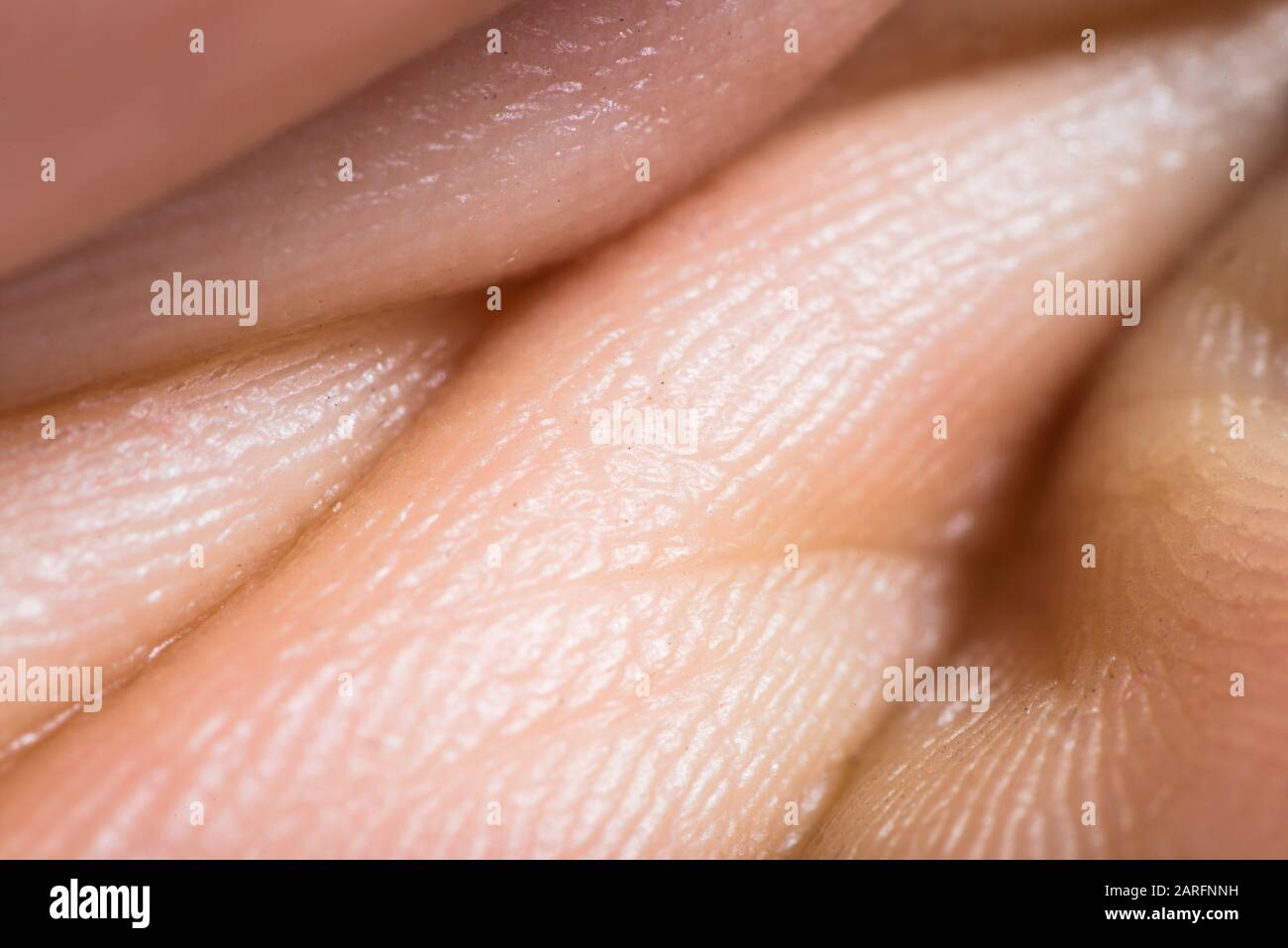 Human skin macro hi-res stock photography and images - Alamy