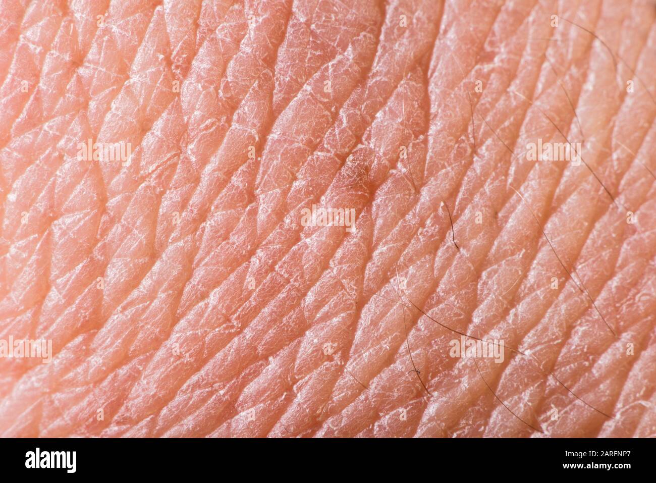 Human Skin Macro High Resolution Stock Photography and Images - Alamy