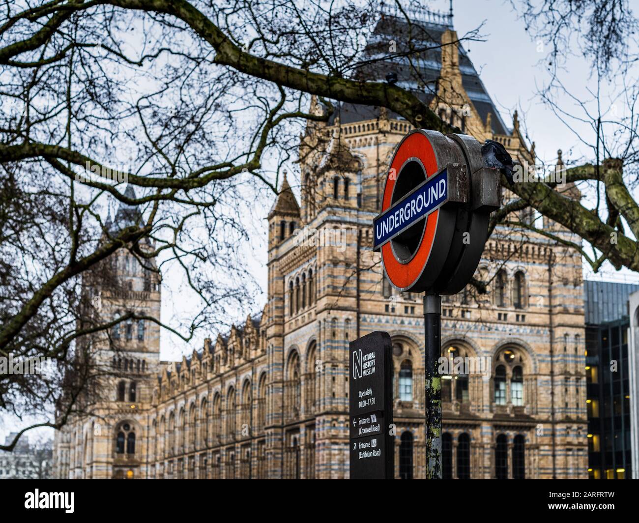 Natural History Museum London in South Kensington. Architect Alfred ...