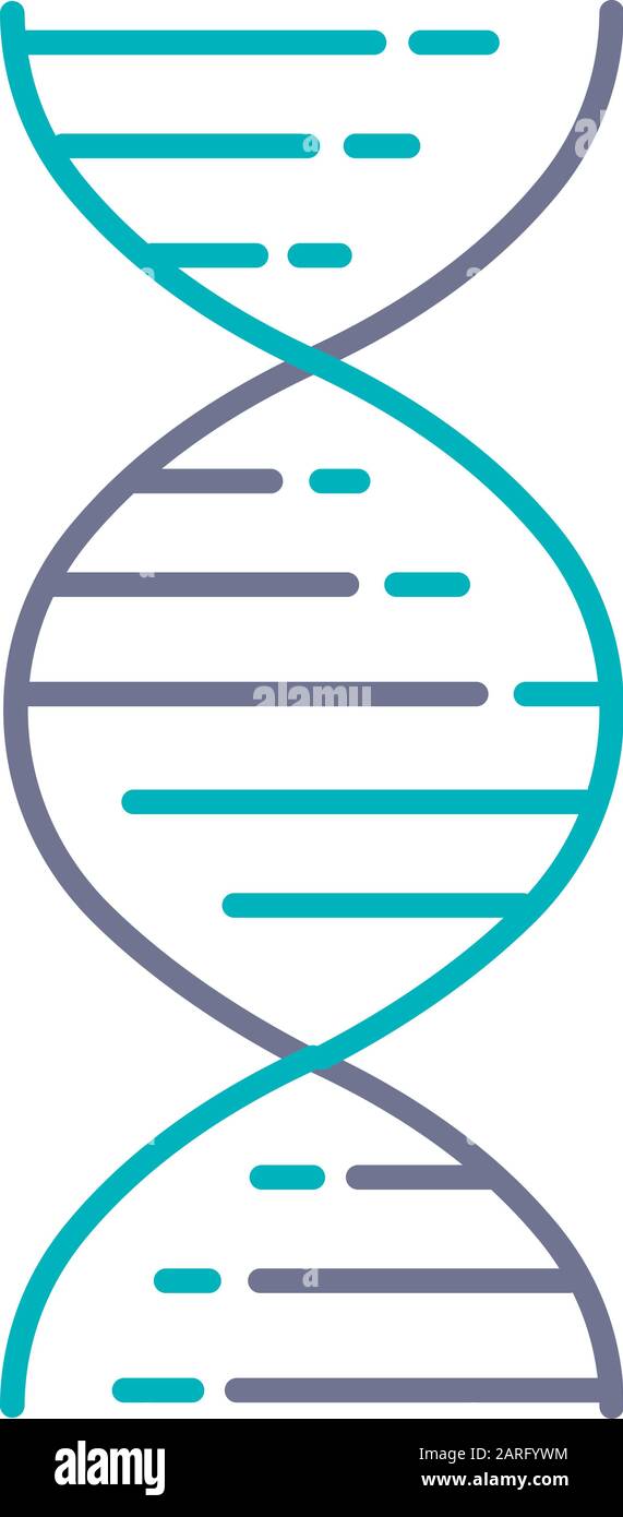 DNA double helix violet and turquoise color icon. Deoxyribonucleic ...