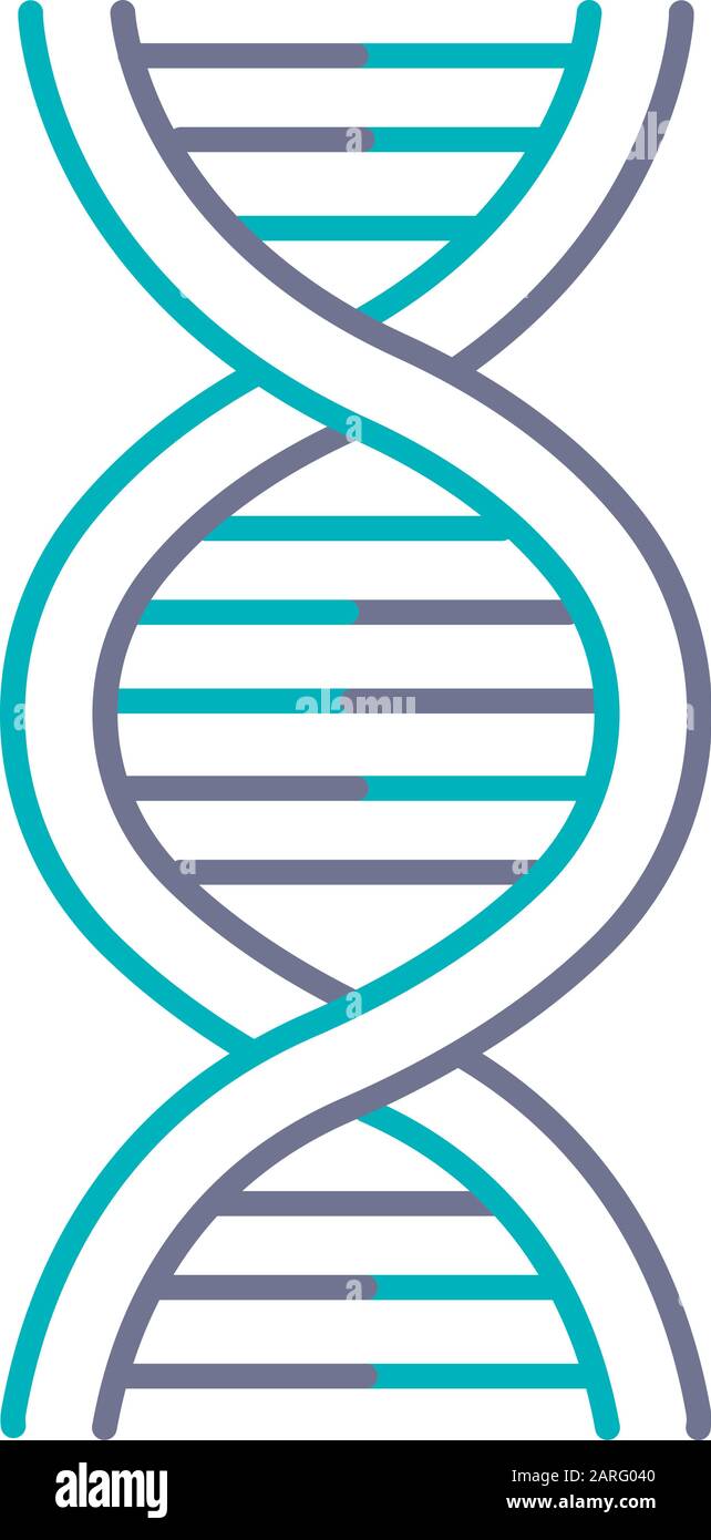 DNA helix violet and turquoise color icon. Deoxyribonucleic, nucleic ...