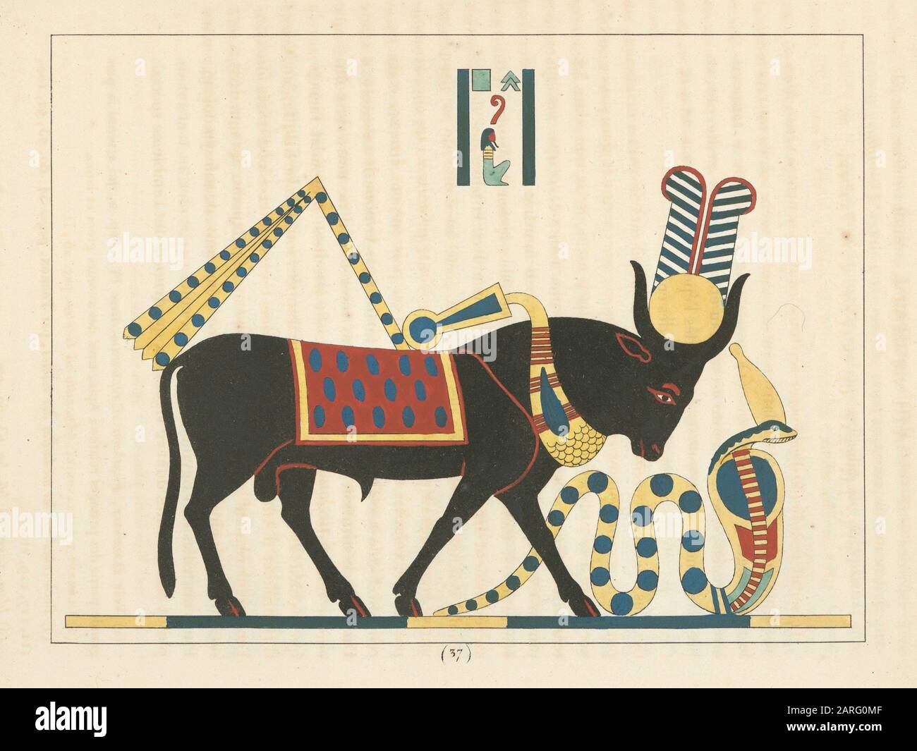 Apis Bull High Resolution Stock Photography and Images - Alamy