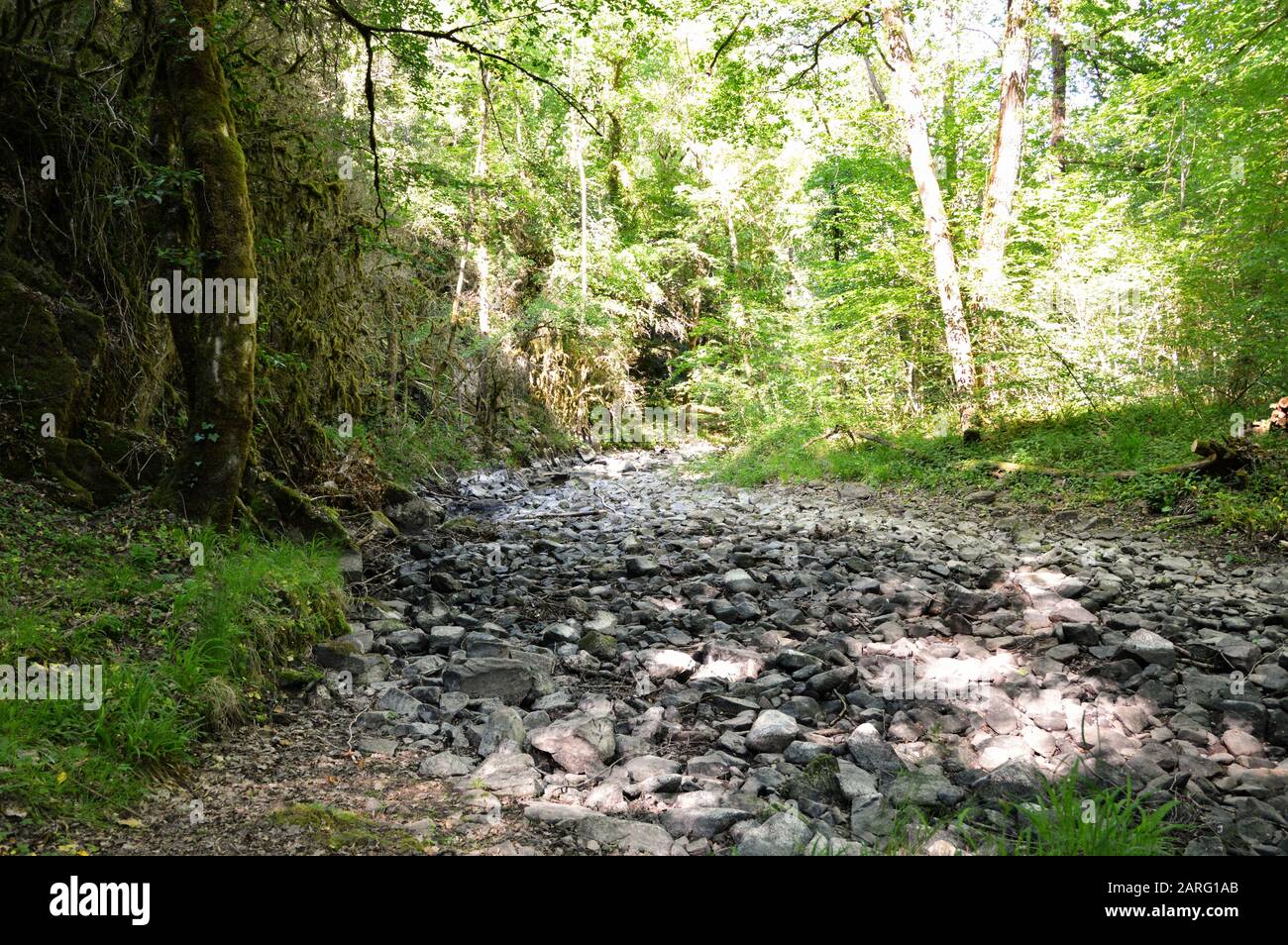 A river dry by drought Stock Photo - Alamy