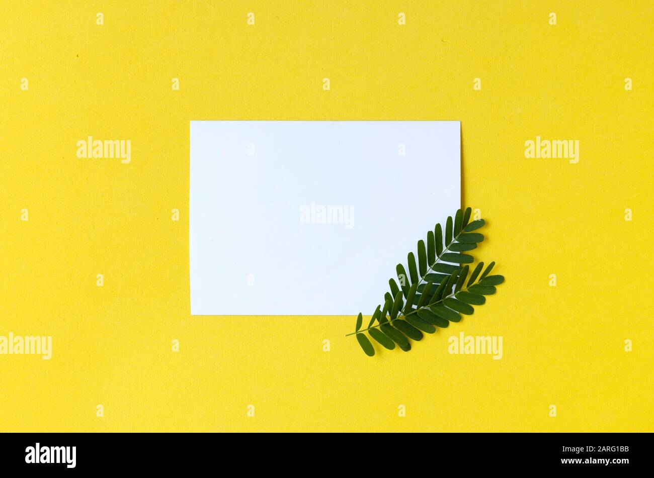 Empty post card hi-res stock photography and images - Alamy