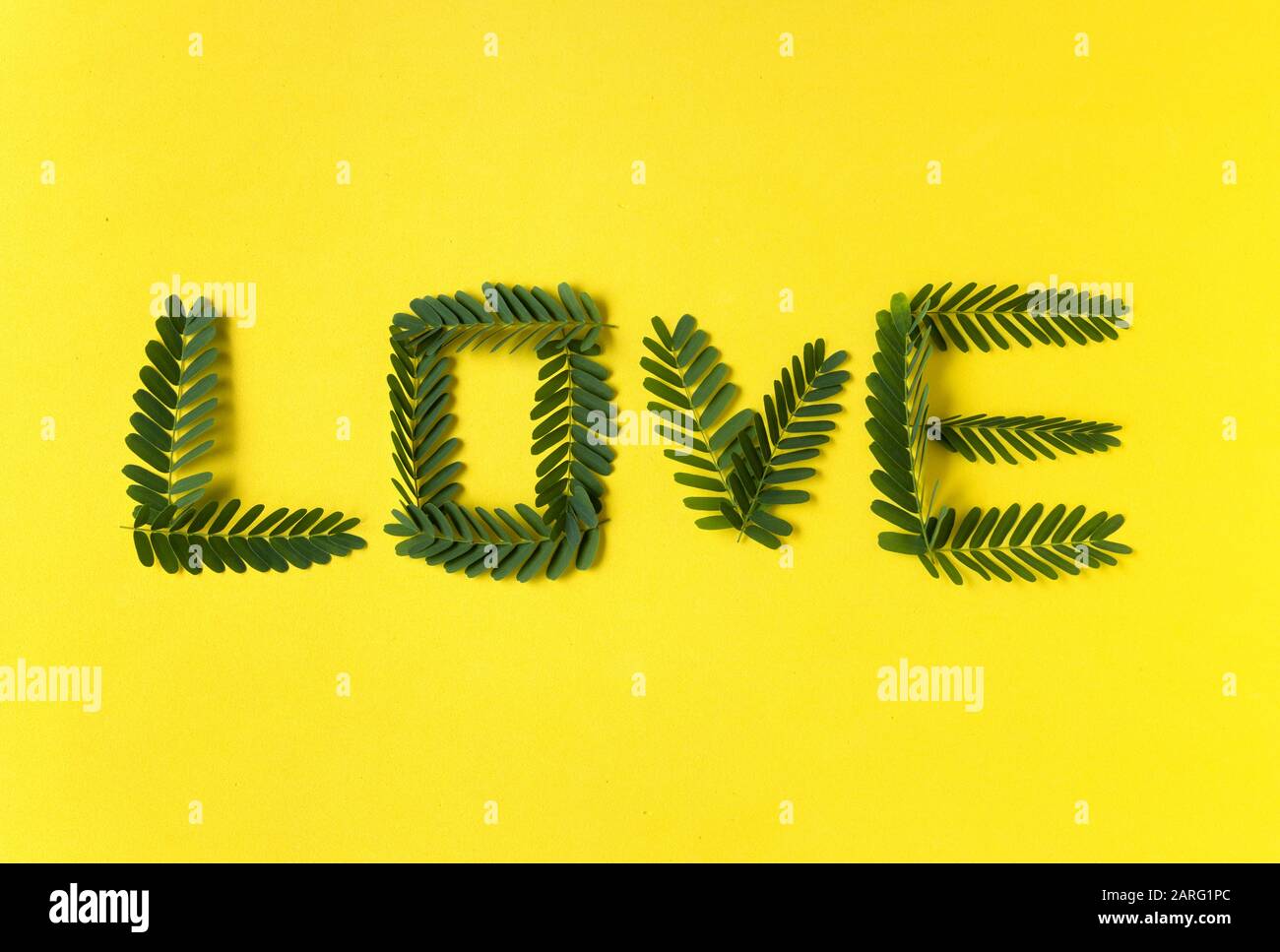 Word Love made of branches on yellow background Stock Photo - Alamy
