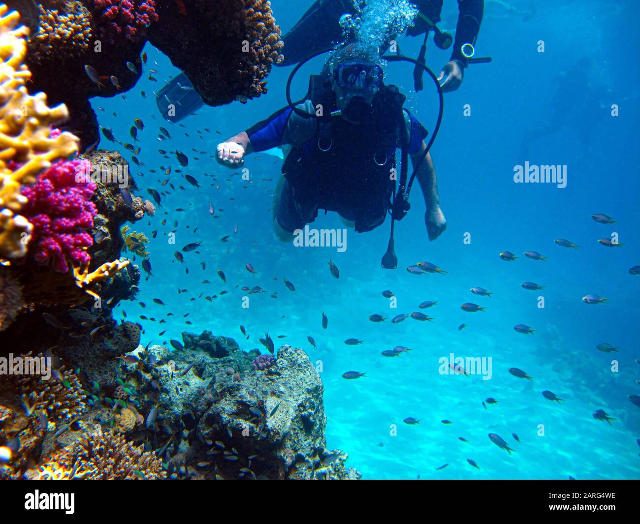 Man scuba diver and beautiful colorful coral reef underwater Stock ...