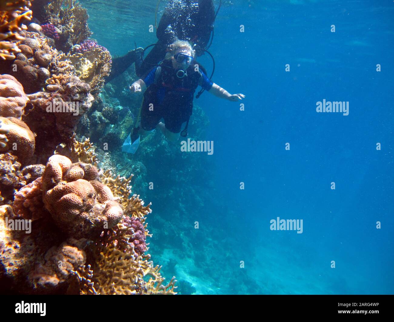 Woman scuba diver and beautiful colorful coral reef underwater Stock ...