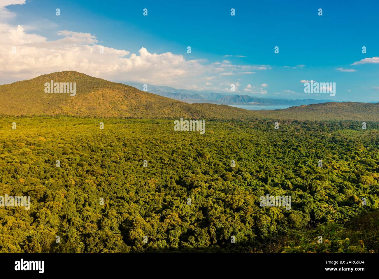 Arba Minch High Resolution Stock Photography and Images - Alamy