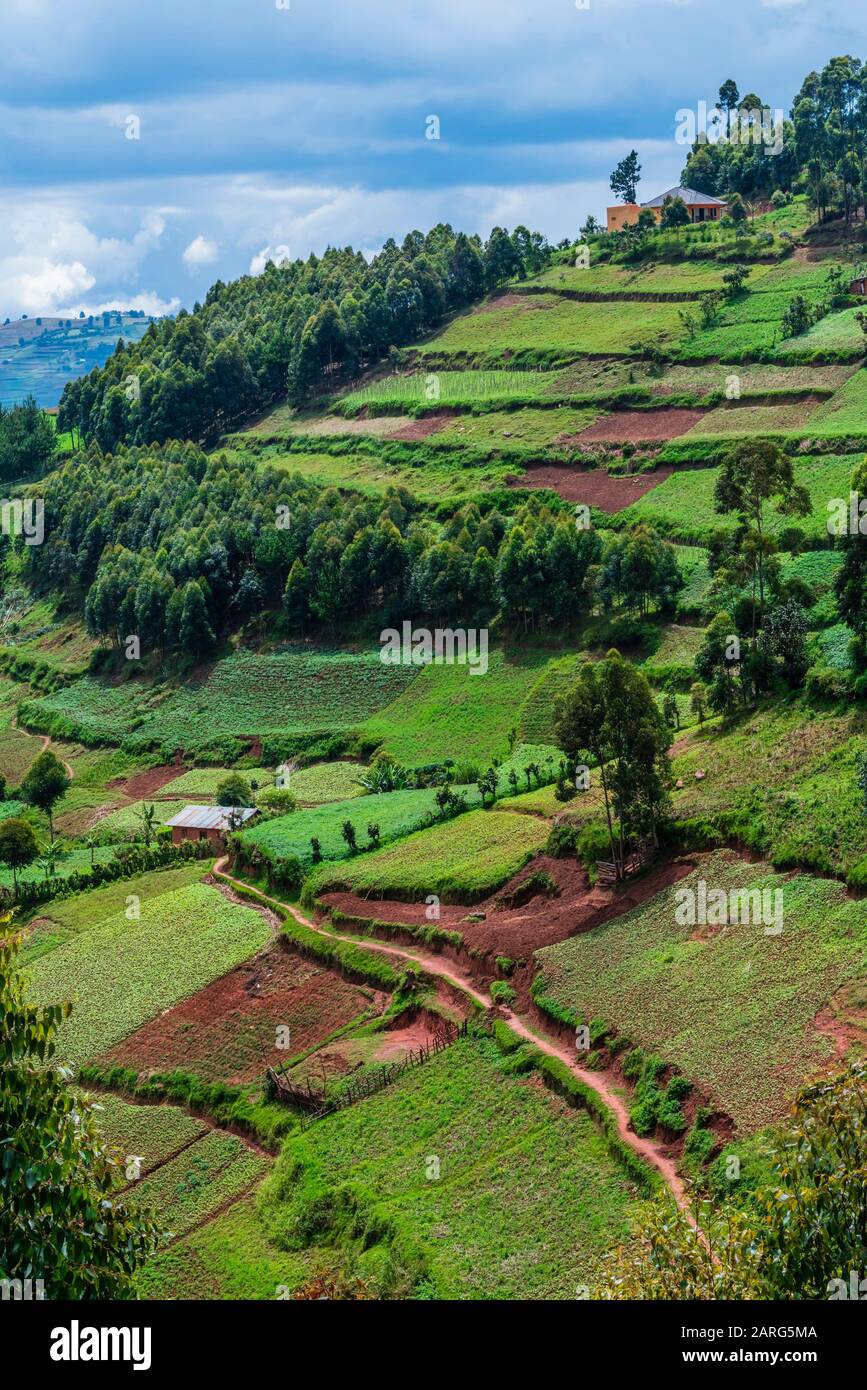 Uganda Farming High Resolution Stock Photography and Images - Alamy