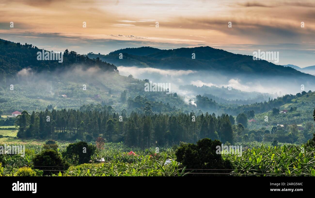 Queen Elizabeth Forest Stock Photos & Queen Elizabeth Forest Stock ...