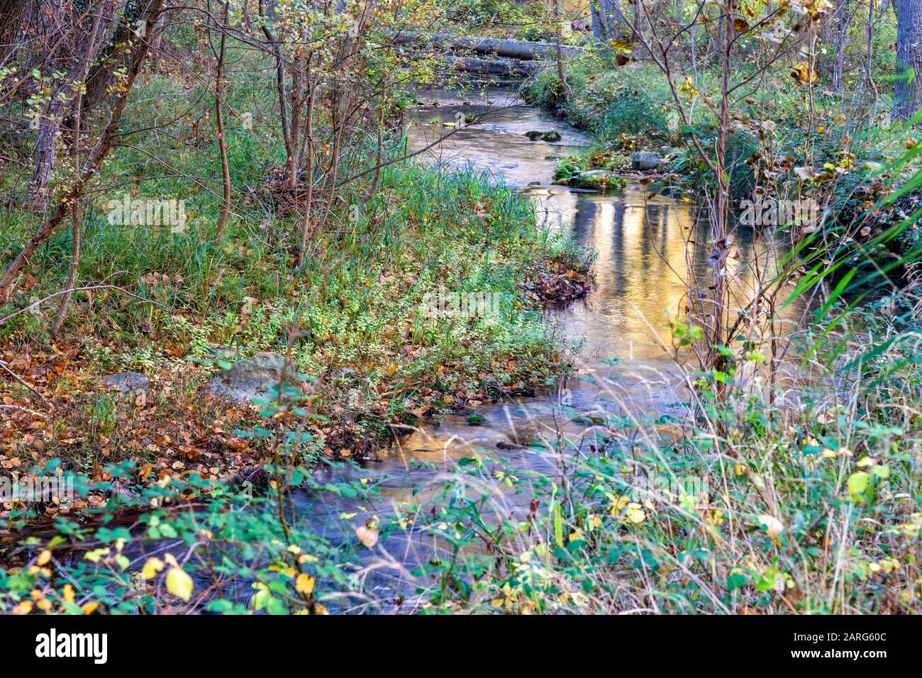 Sweet river hi-res stock photography and images - Alamy