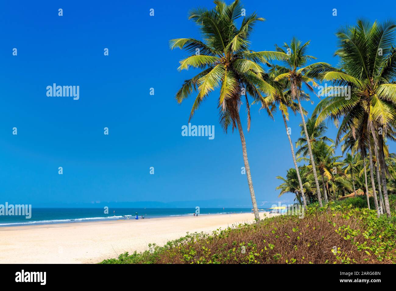 Exotic tropical beach Stock Photo - Alamy