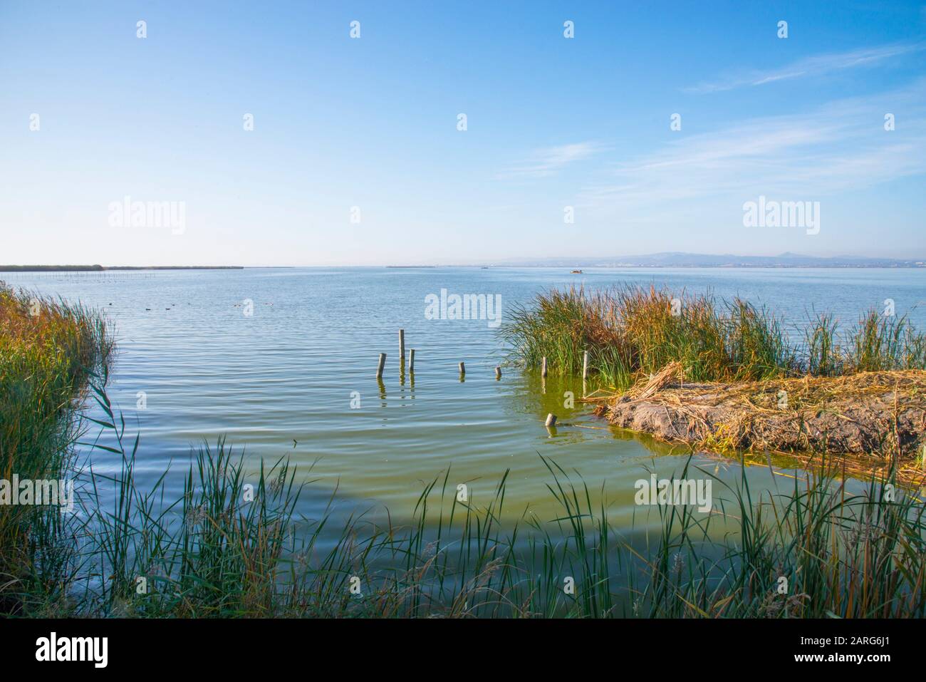 Valencia albufera hi-res stock photography and images - Alamy