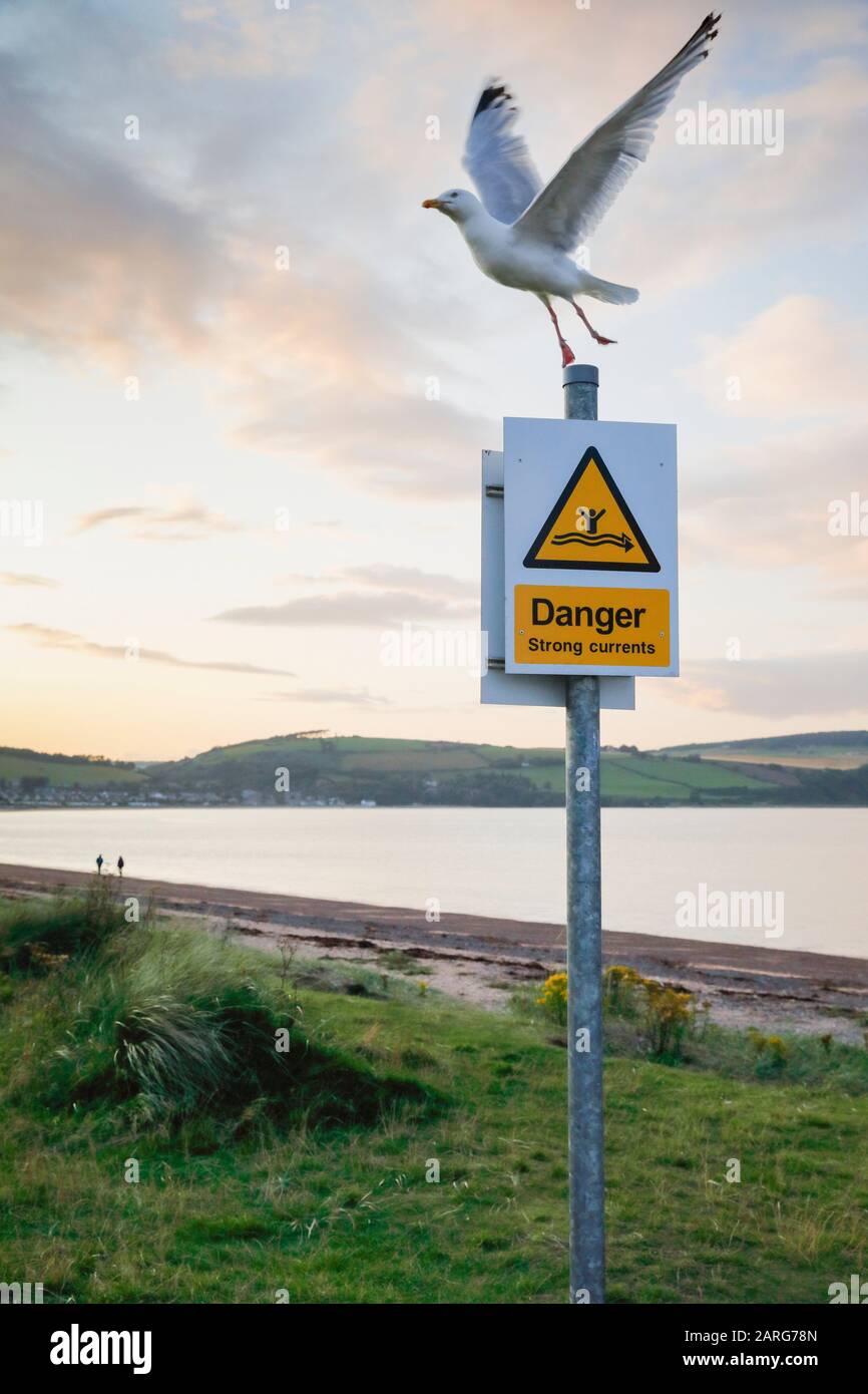 Warning seagull sign hi-res stock photography and images - Alamy
