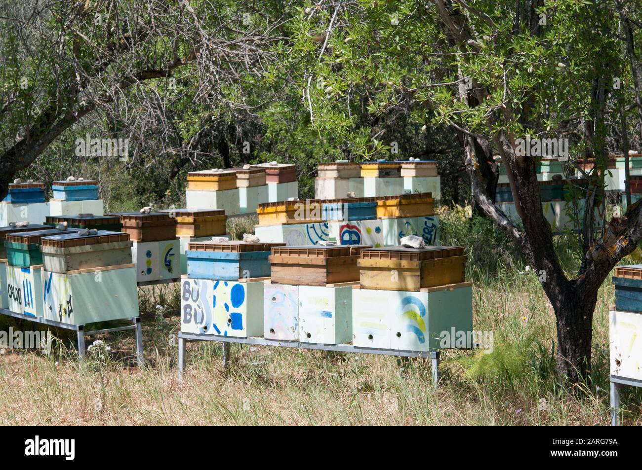 Human beehive hi-res stock photography and images - Alamy