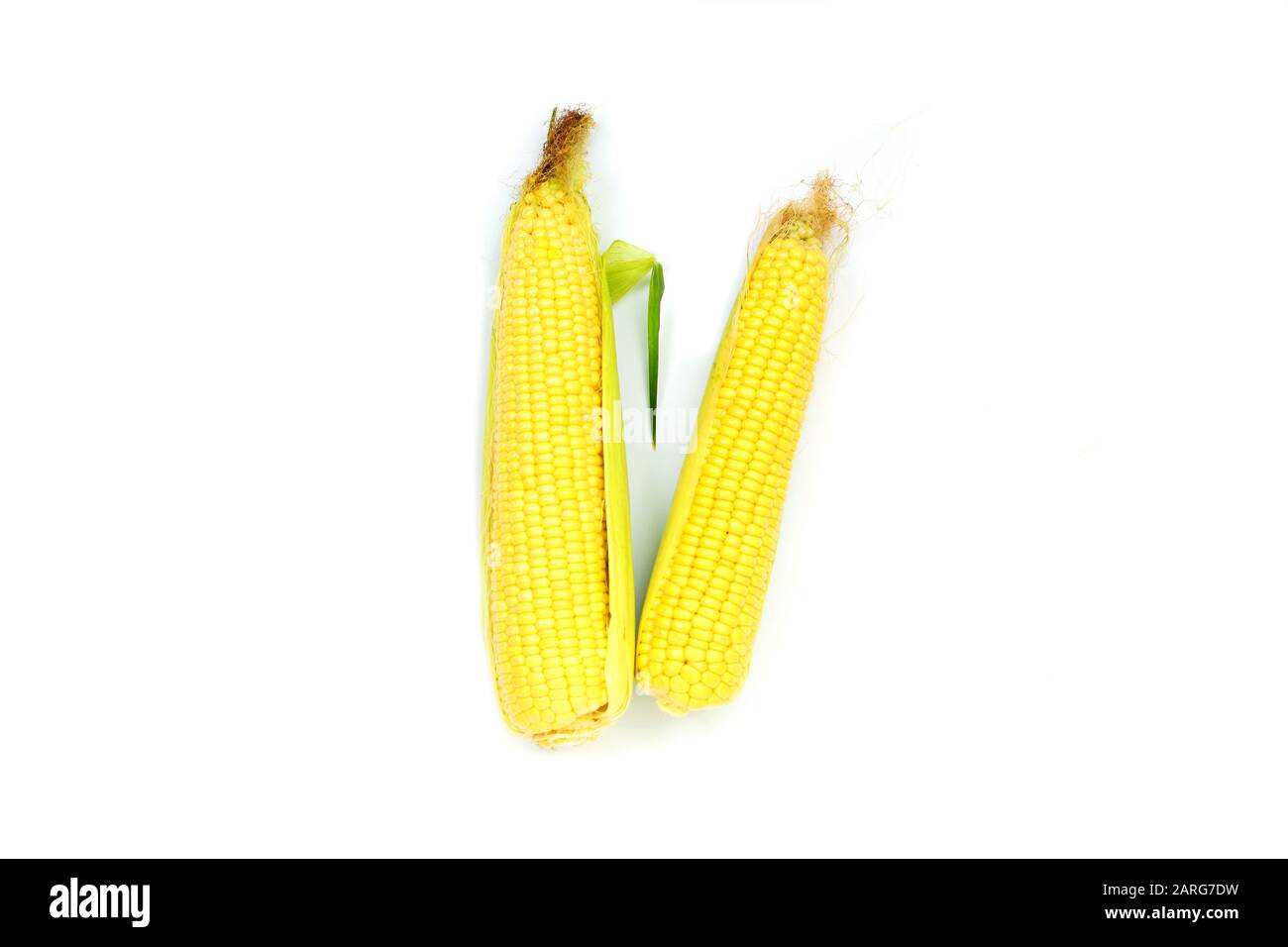 Two corn maize plant Cut Out Stock Images & Pictures - Alamy