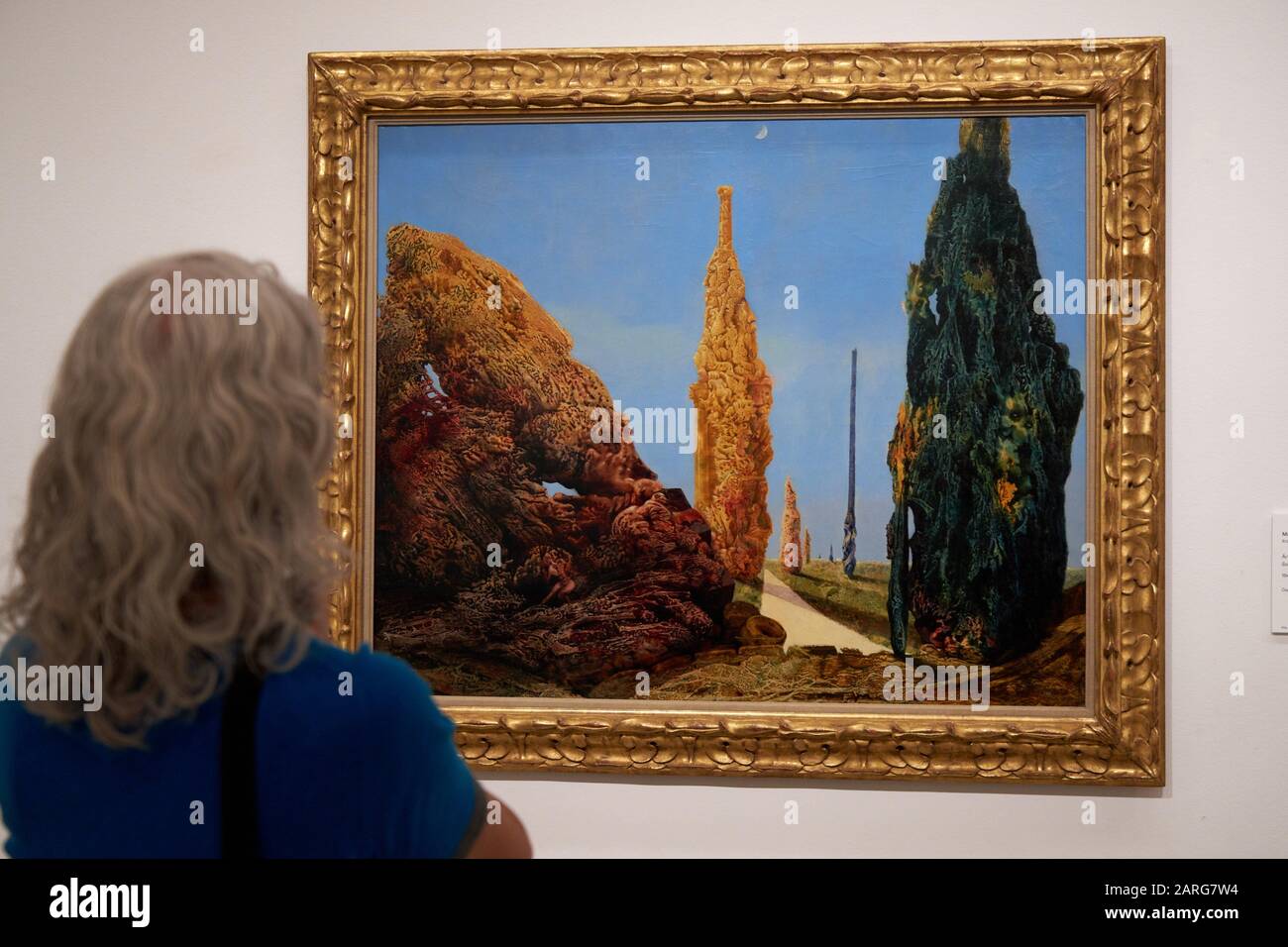 Max Ernst Painting High Resolution Stock Photography and Images - Alamy