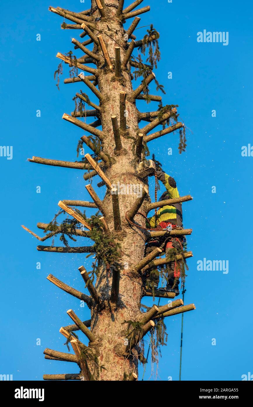 Climbing crane hi-res stock photography and images - Alamy