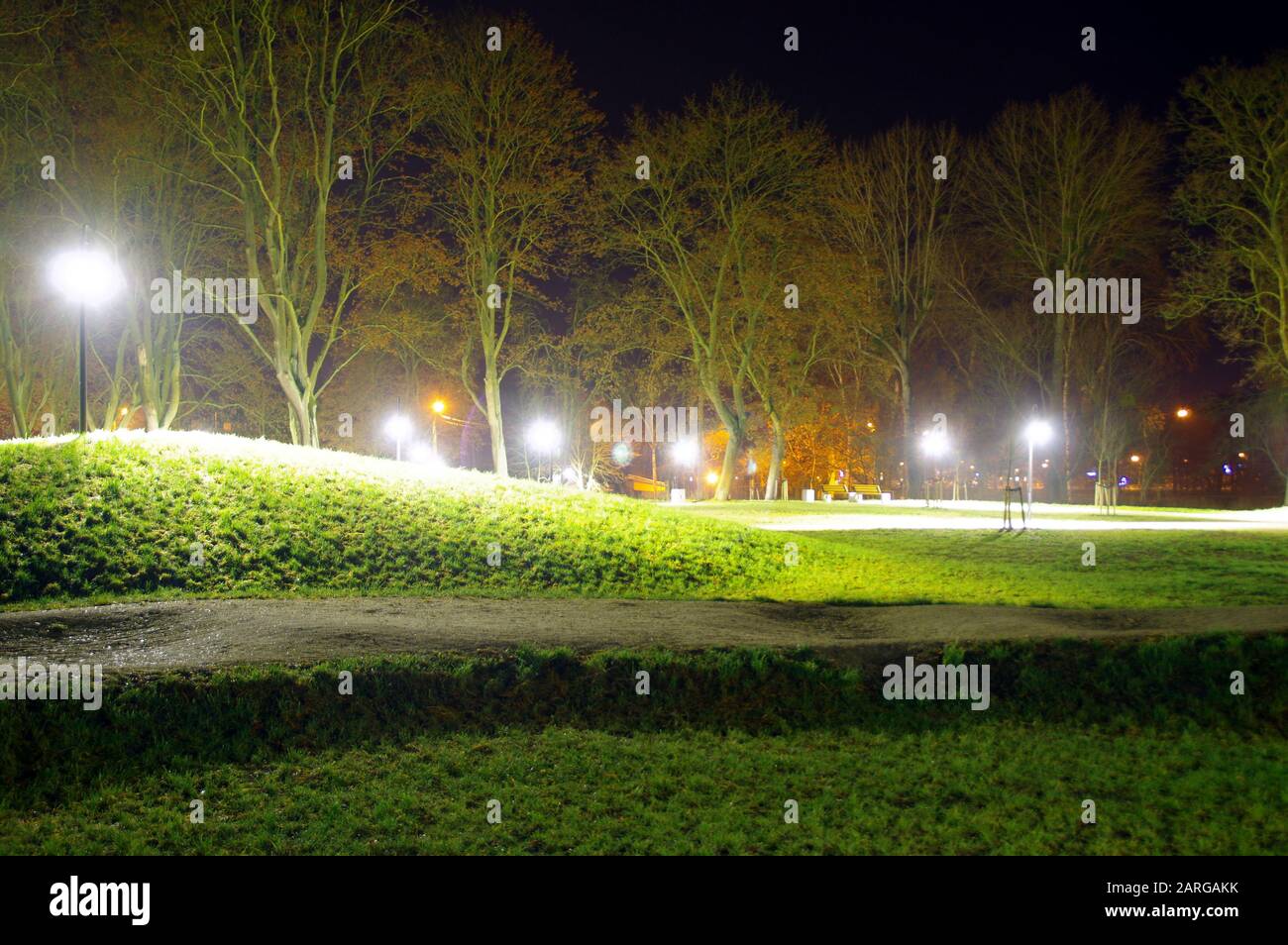 Illuminated city park at night. Artificial lights among the trees Stock ...