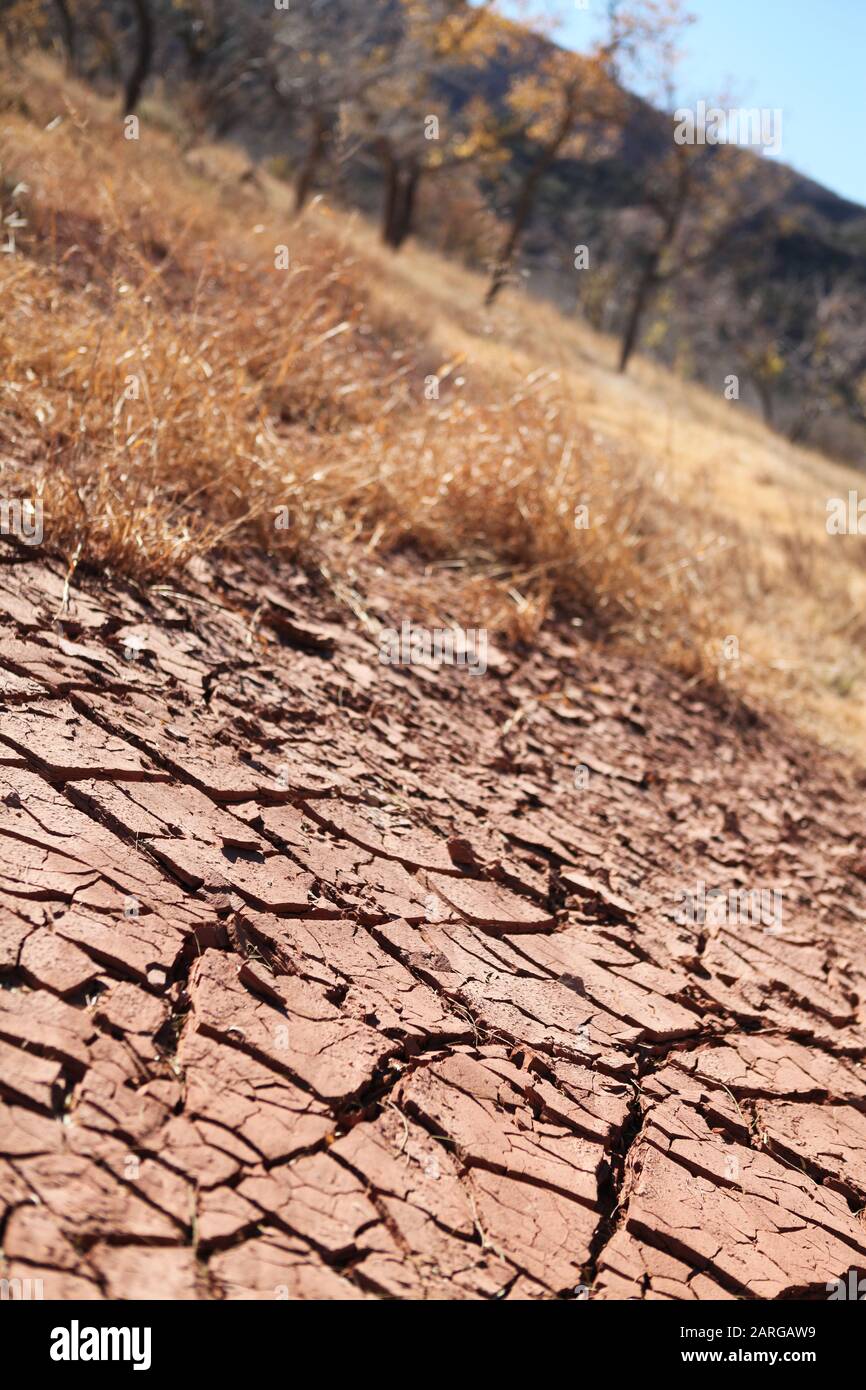 cracked earth, arid desert, Route 66, America Stock Photo - Alamy