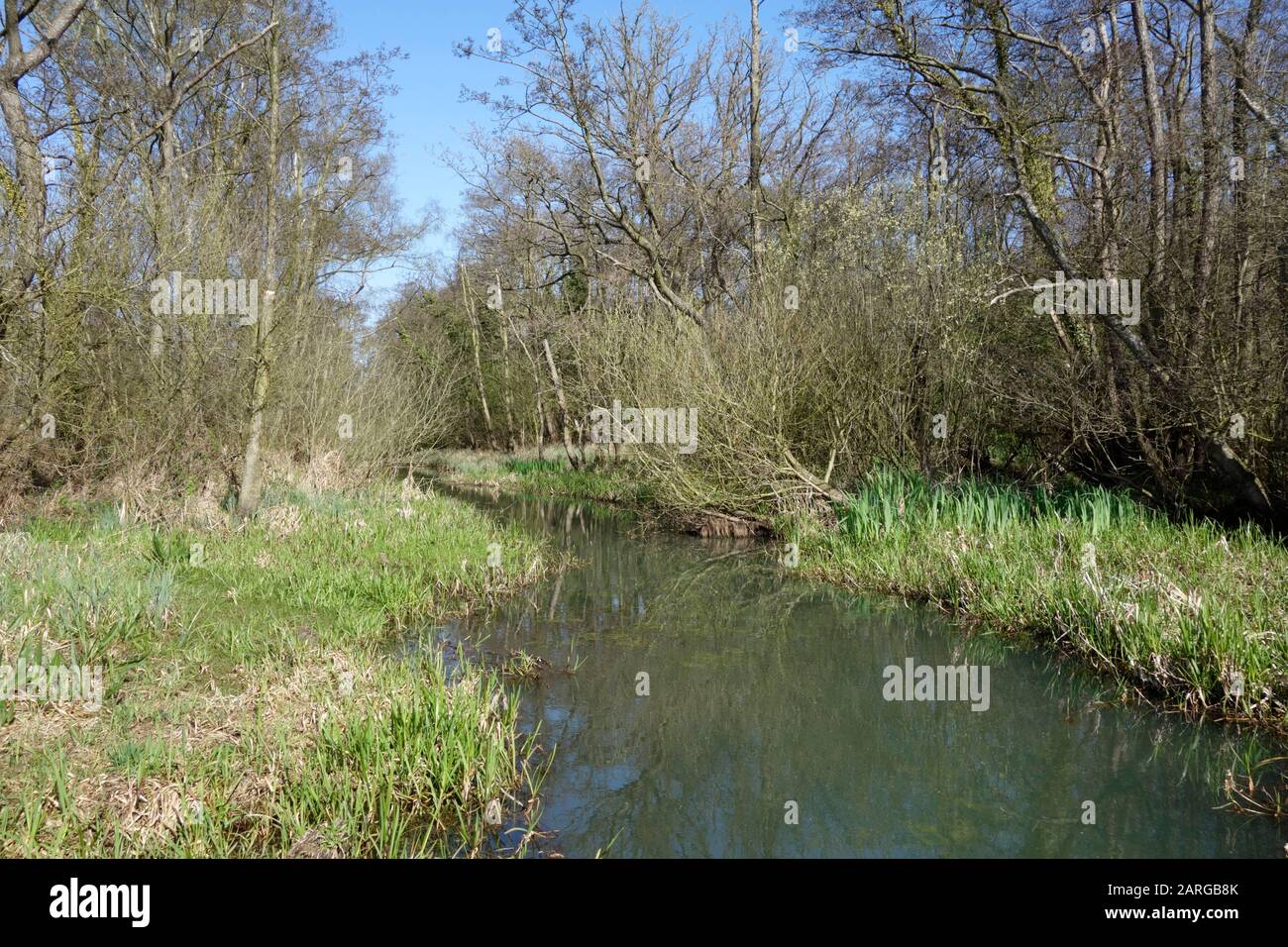 The disused North Walsham and Dilham Canal Stock Photo - Alamy