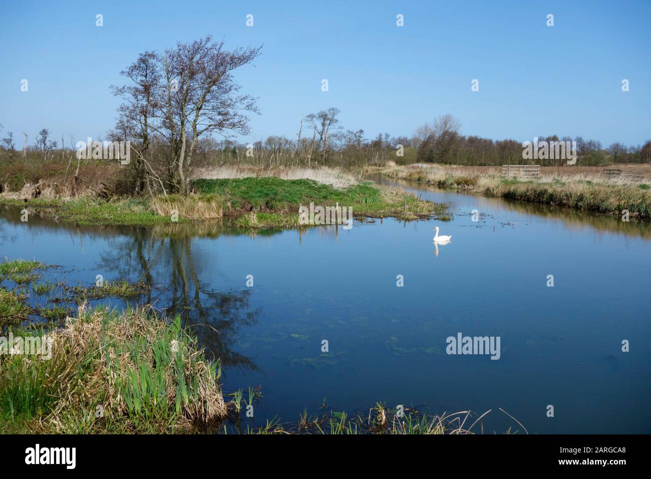 The disused North Walsham and Dilham Canal Stock Photo - Alamy