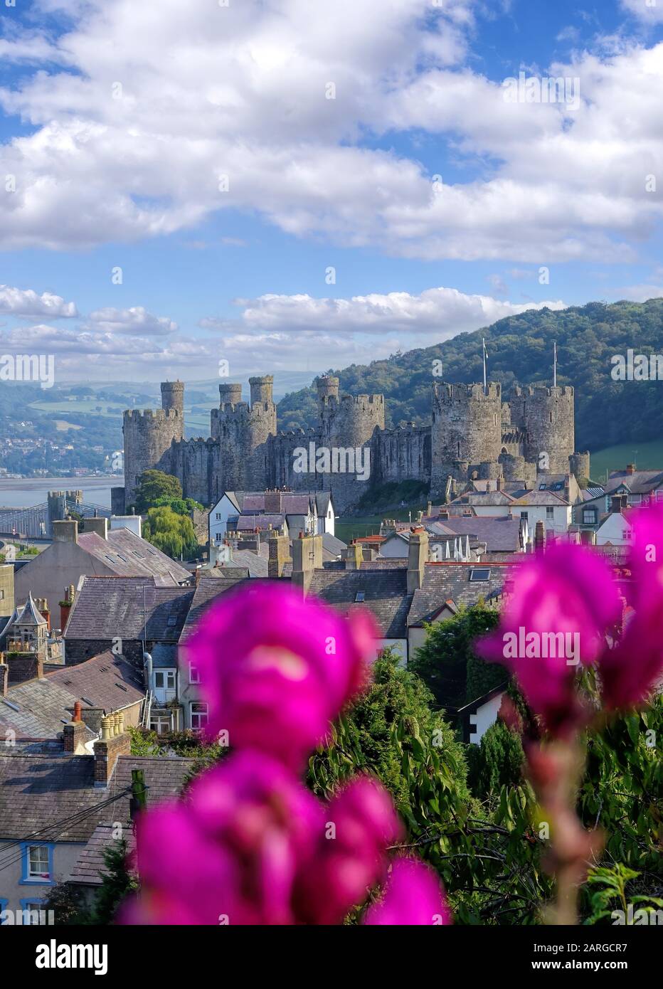 Famous welsh castles hi-res stock photography and images - Alamy