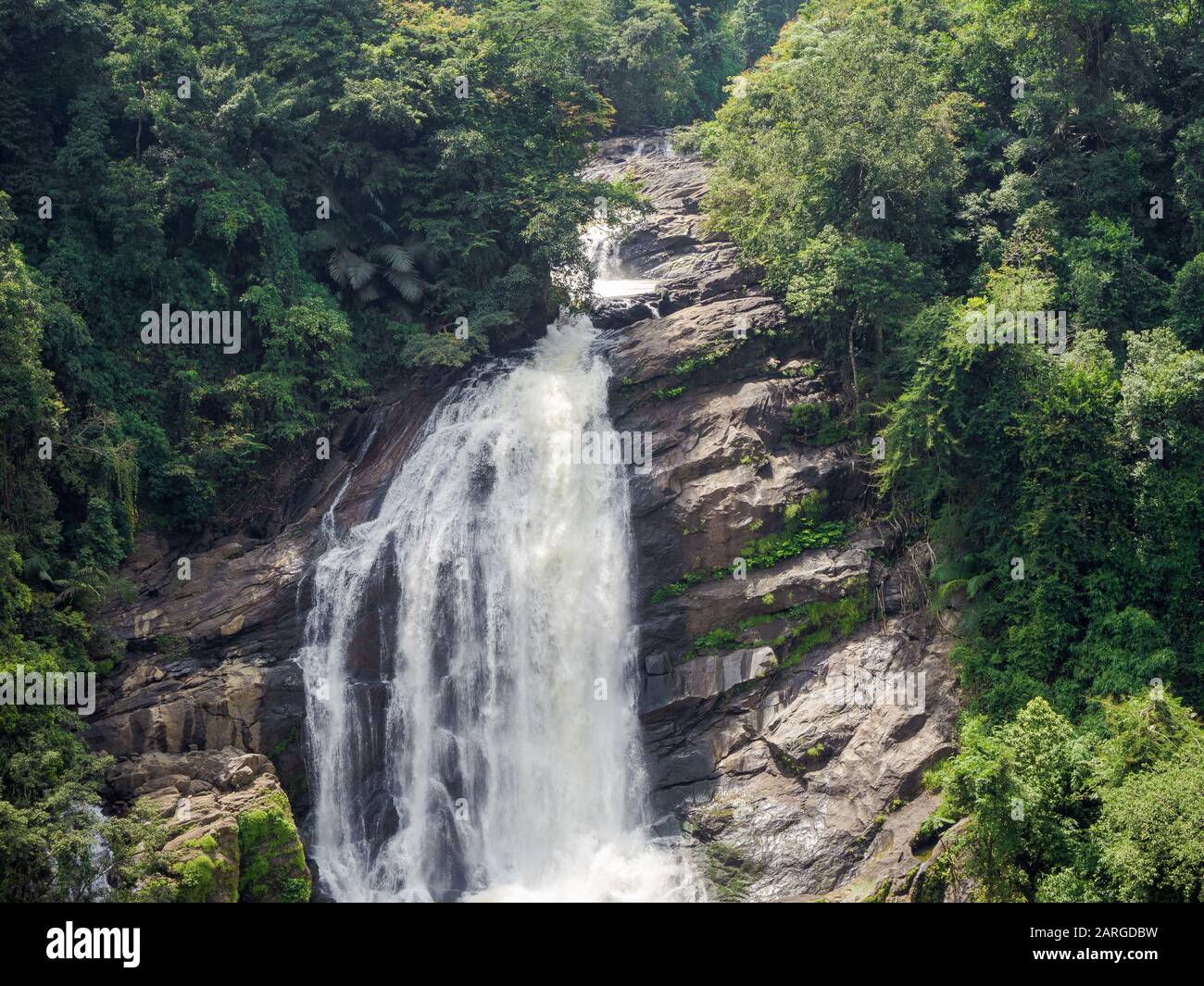 South indian jungle hi-res stock photography and images - Alamy