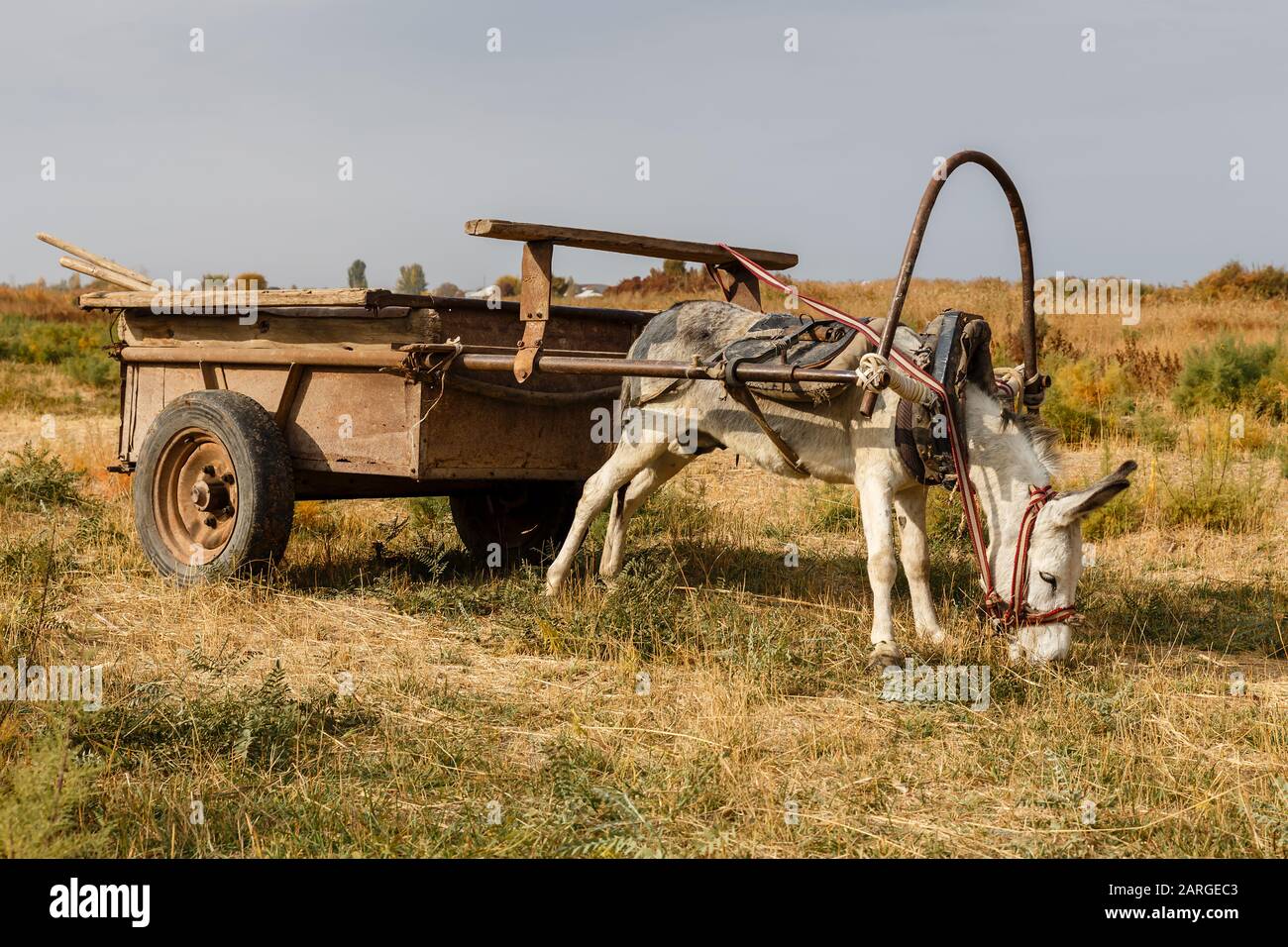 Wheel Donkey High Resolution Stock Photography and Images - Alamy