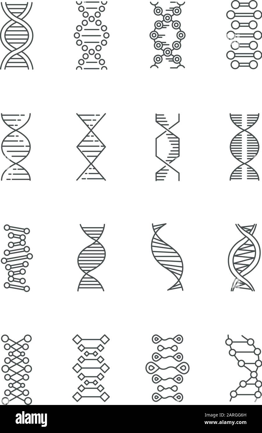 Dna Helix Linear Icons Set Deoxyribonucleic Nucleic Acid Structure Chromosome Molecular