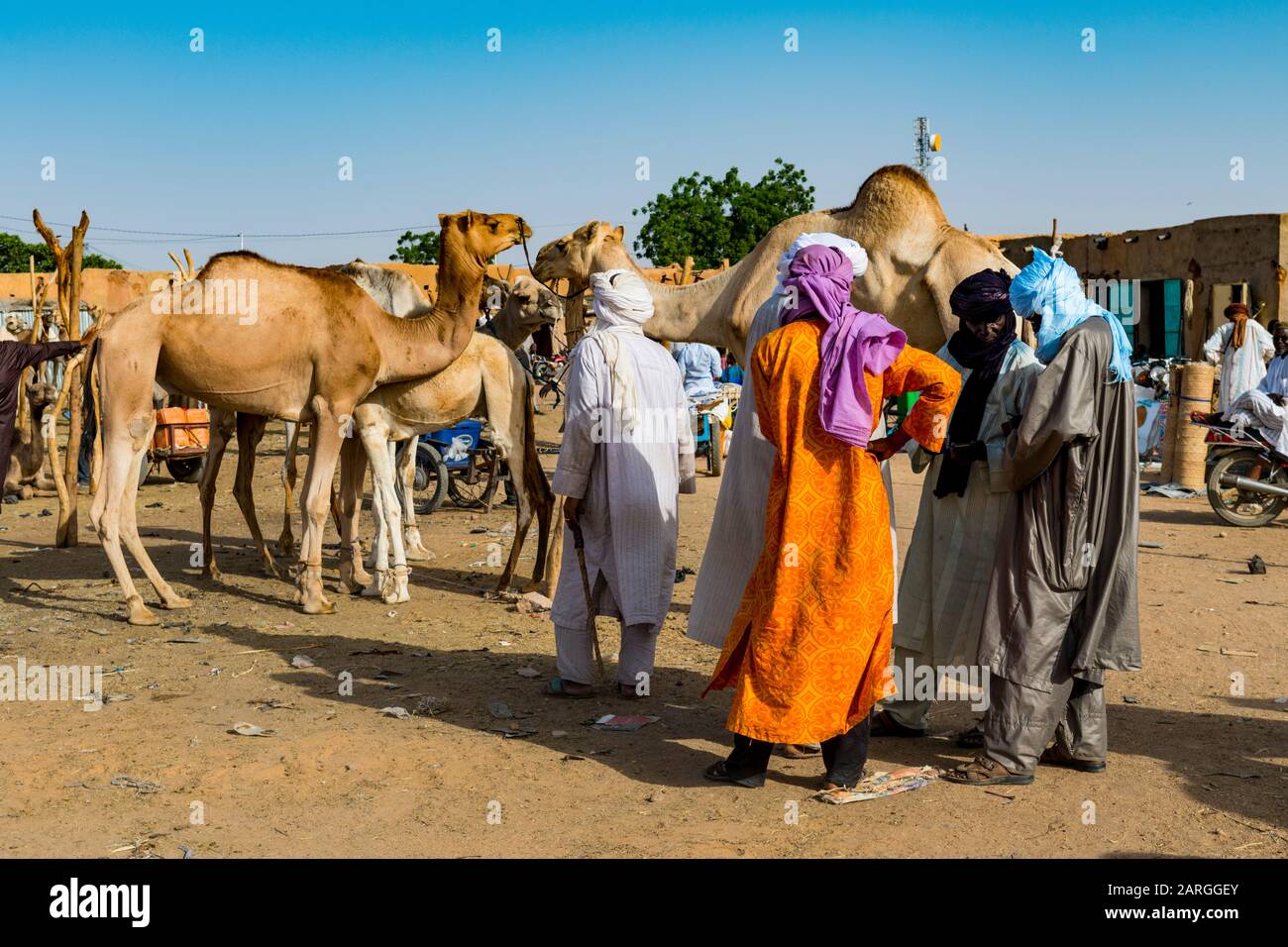 Tuaregs with traditional clothing hi-res stock photography and images ...
