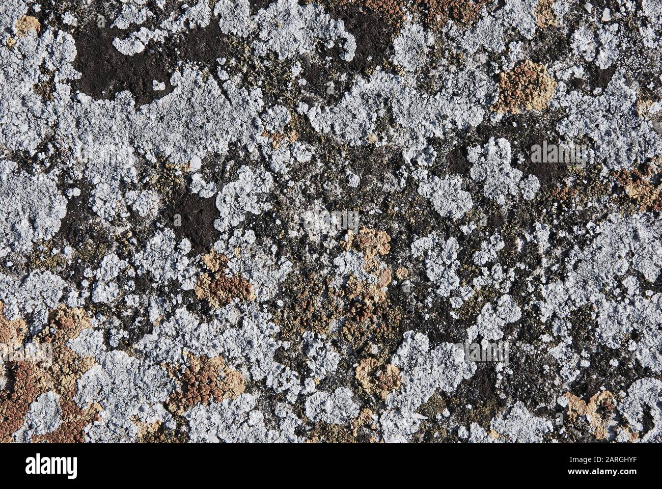 Old mossy stone natural texture in gray tones Stock Photo - Alamy
