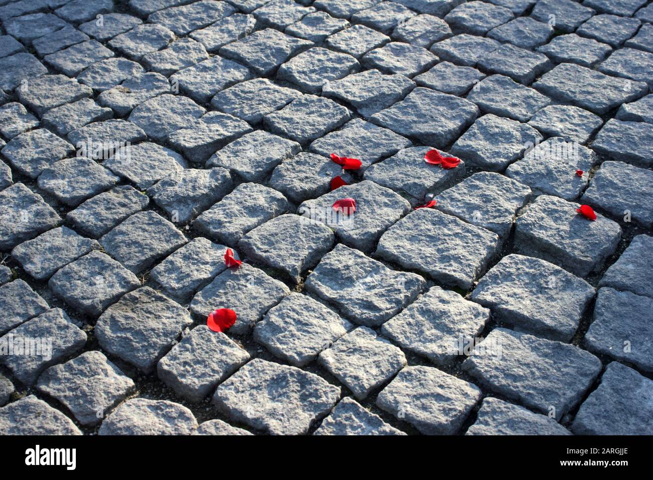 rose petals on the pavement Stock Photo - Alamy