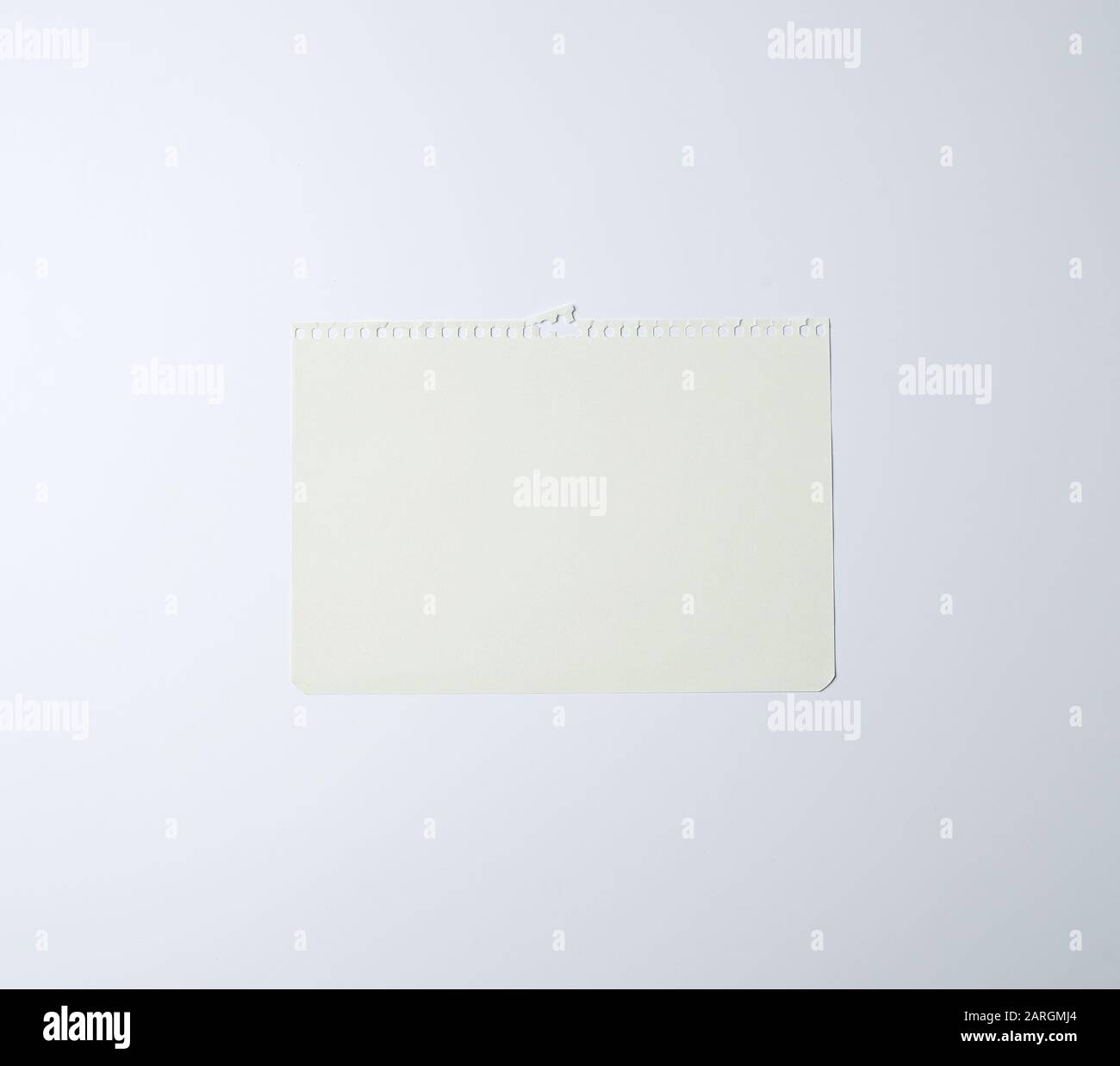 white sheet of paper torn from a spiral notebook on a white background ...