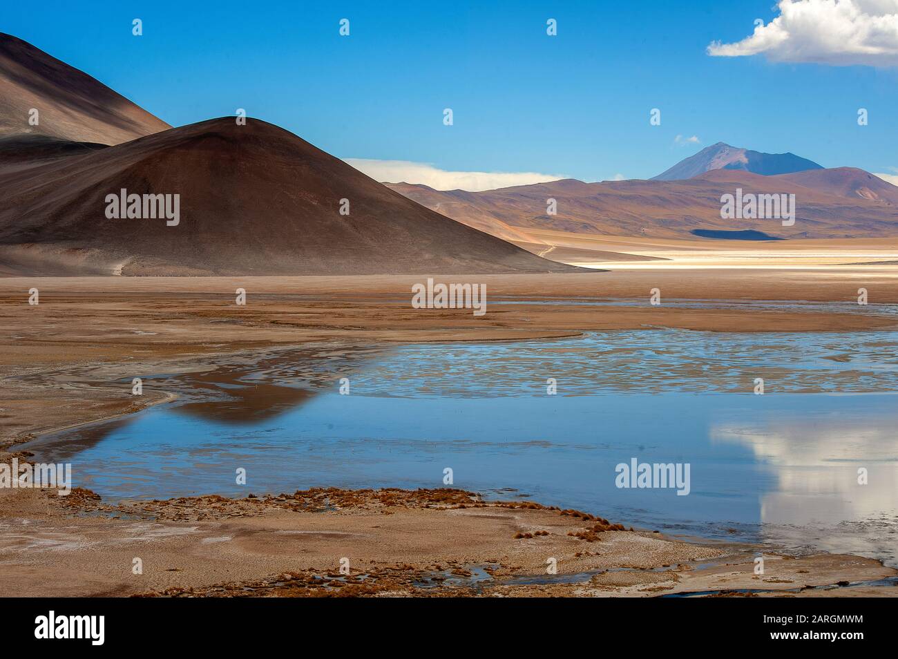 Salar de Talar Lake from Aguas Calientes Viewpoint as seen from the ...