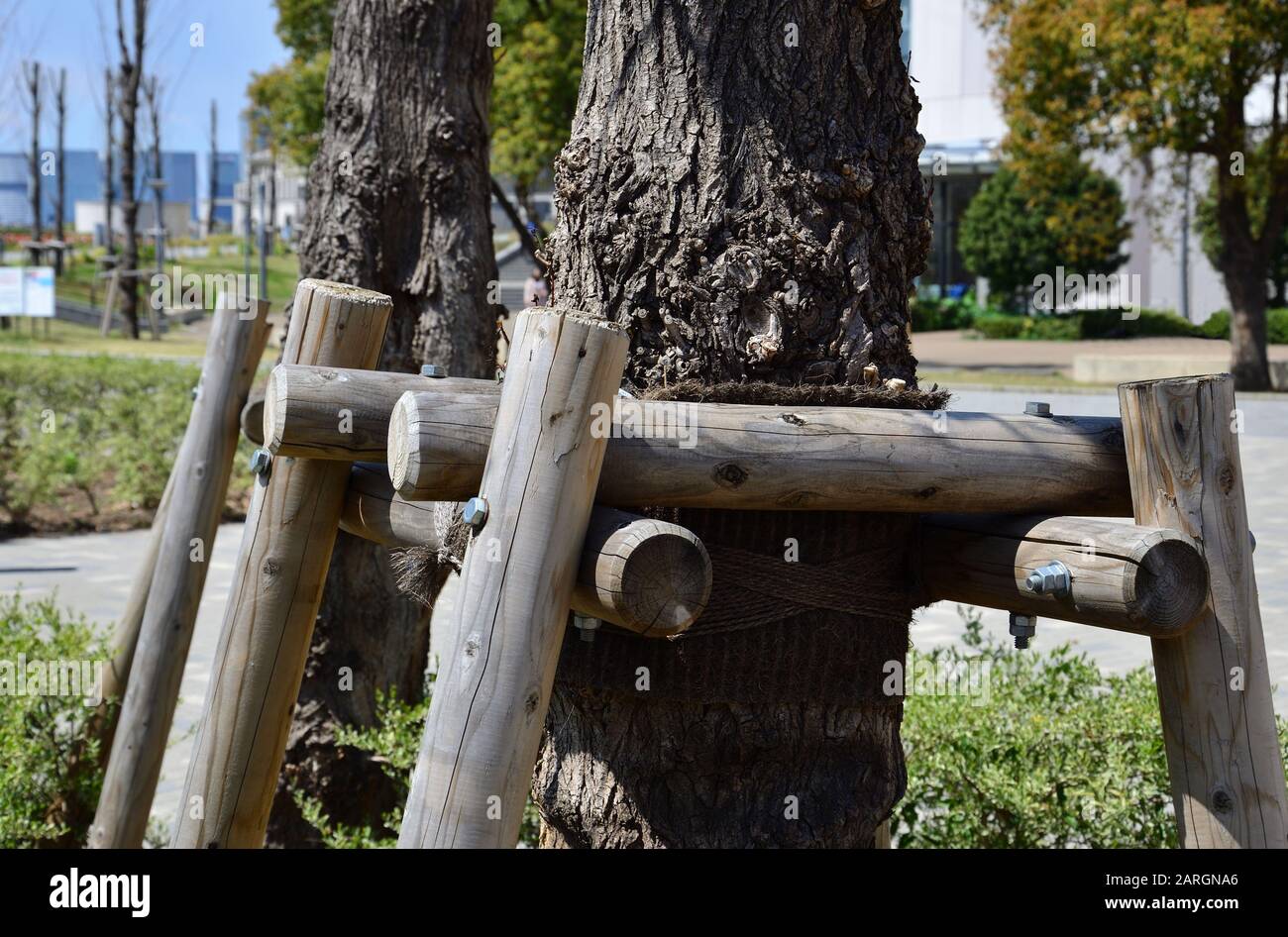 We need trees hi-res stock photography and images - Alamy