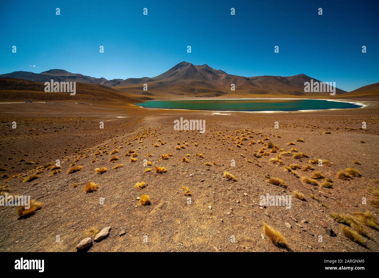 Miniques Lake, Altiplanic Lakes, Atacama Desert, Chile Stock Photo - Alamy