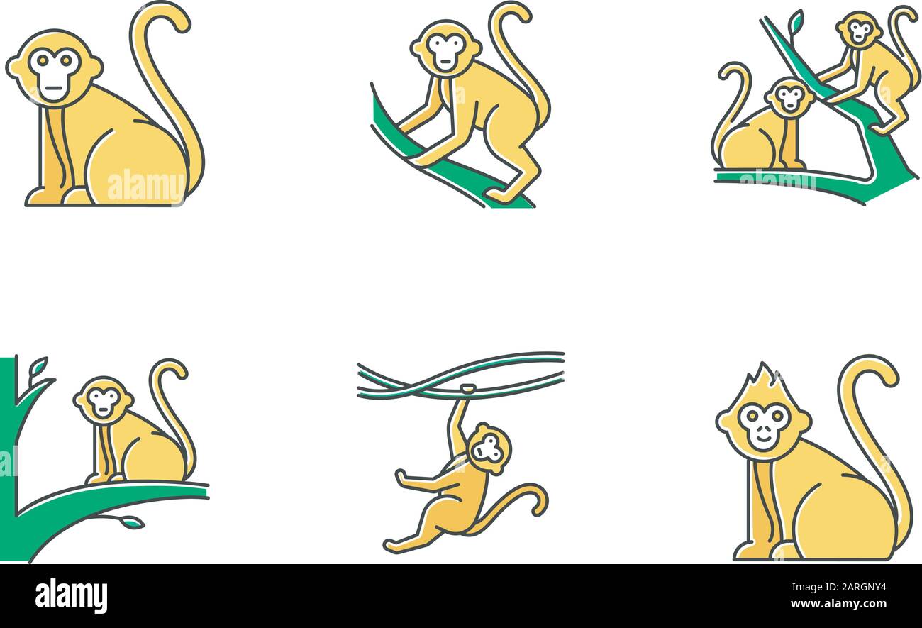 Monkeys in wild color icons set. Tropical country animal, mammal on ...