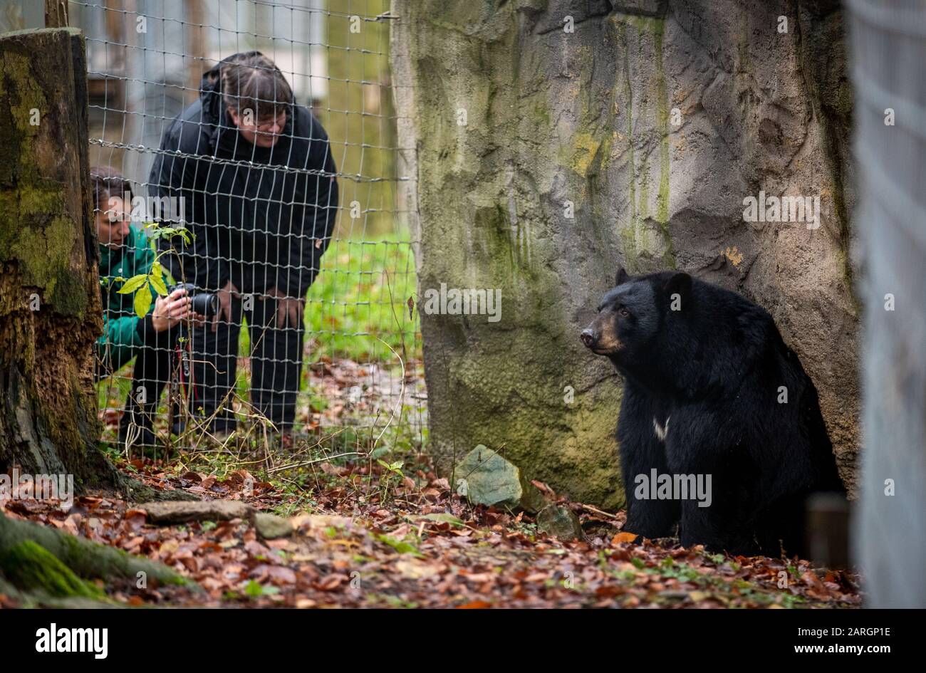 Poor conditions zoo hi-res stock photography and images - Alamy