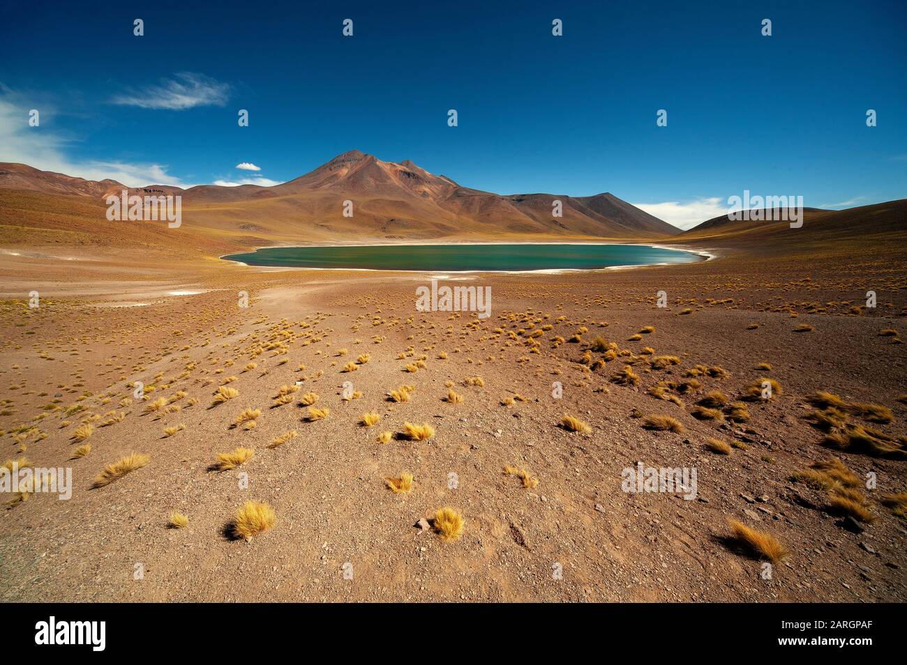 Miniques Lake, Altiplanic Lakes, Atacama Desert, Chile Stock Photo - Alamy
