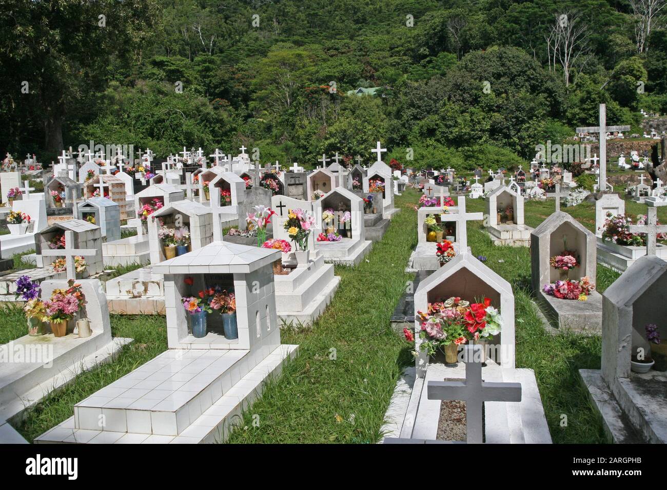 Burial forests hi-res stock photography and images - Alamy